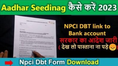 NPCI DBT Aadhaar seeding Form कैसे भरे ? NPCI DBT Form Download » Loan ...